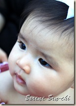 Baby Siu Life Story: 2009